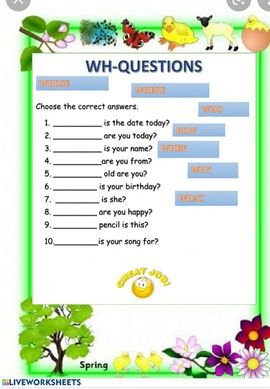 WH questions, examples